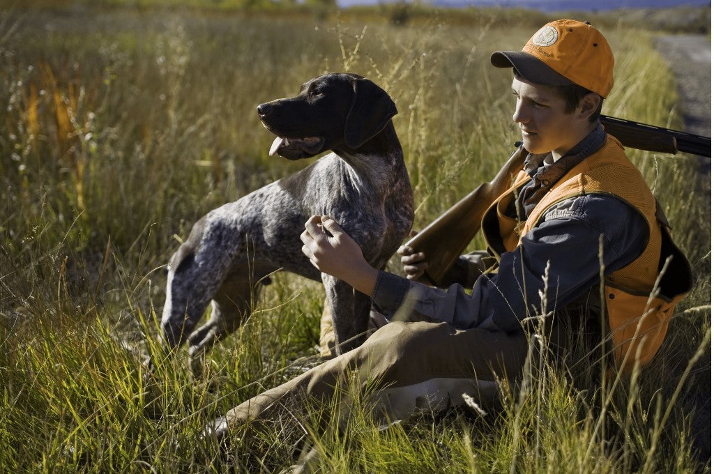 Meet the Brown Hunting Dog Breeds – Woof Blankets